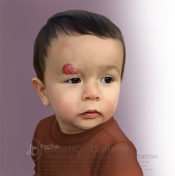 Other Work – Eleanor Bailey Illustration